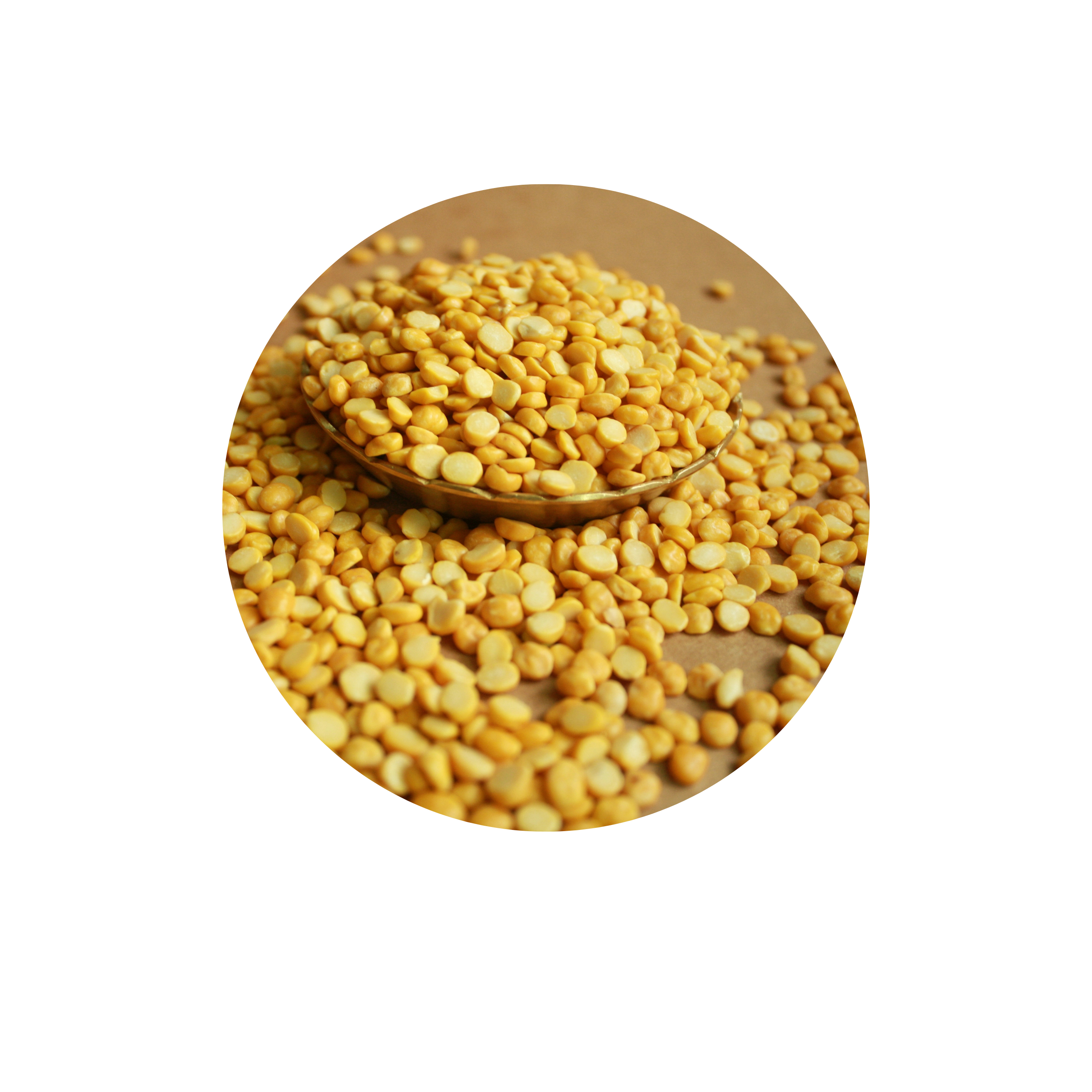 Pluses Seed – FutureFarming