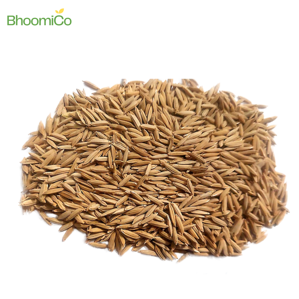 Red Rice Seeds | 10% OFF – FutureFarming